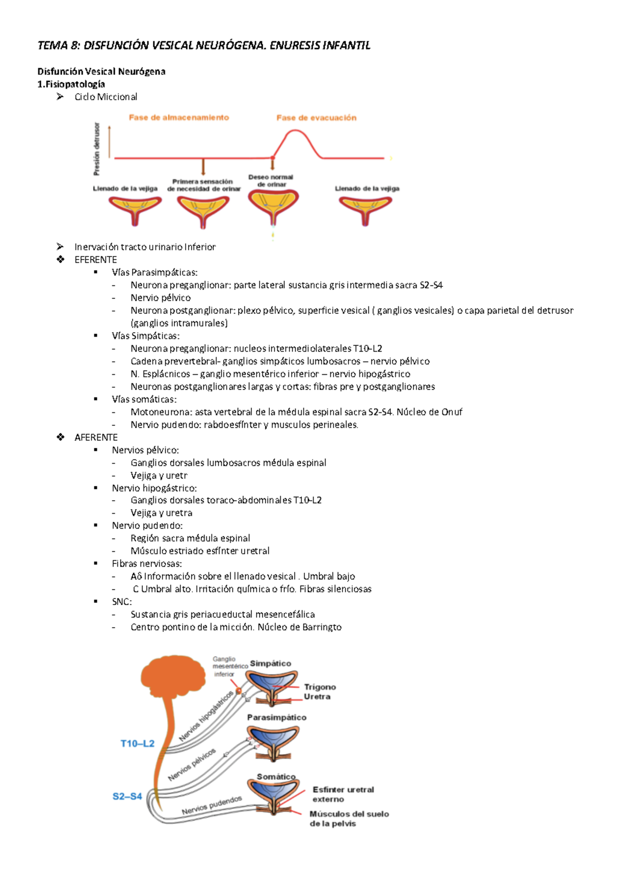 TEMA 8 - urología - TEMA 8: DISFUNCIÓN VESICAL NEURÓGENA. ENURESIS ...