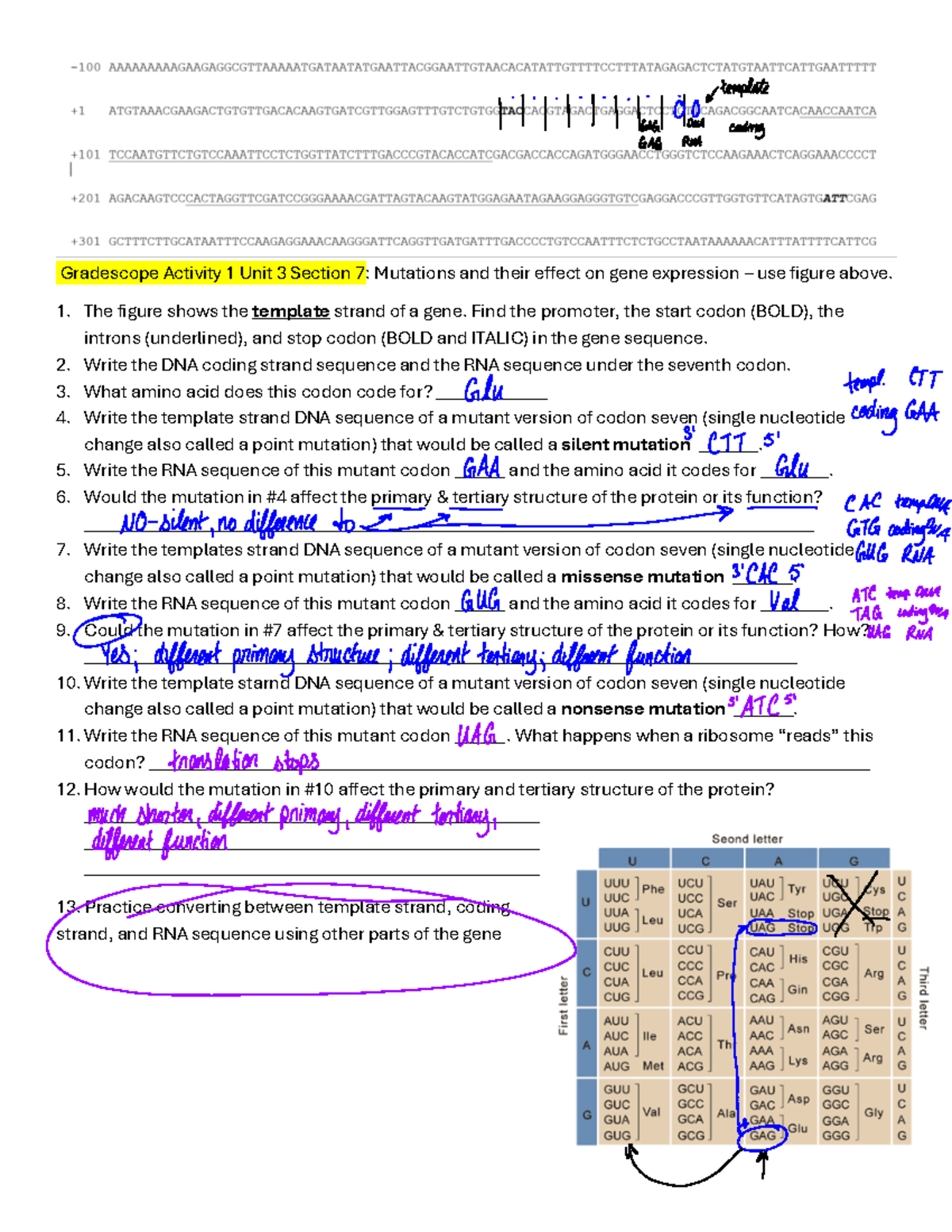 Unit 3 Section 7 Unit 4 Section 1 New - Gradescope Activity 1 Unit 3 Section 7: Mutations and ...
