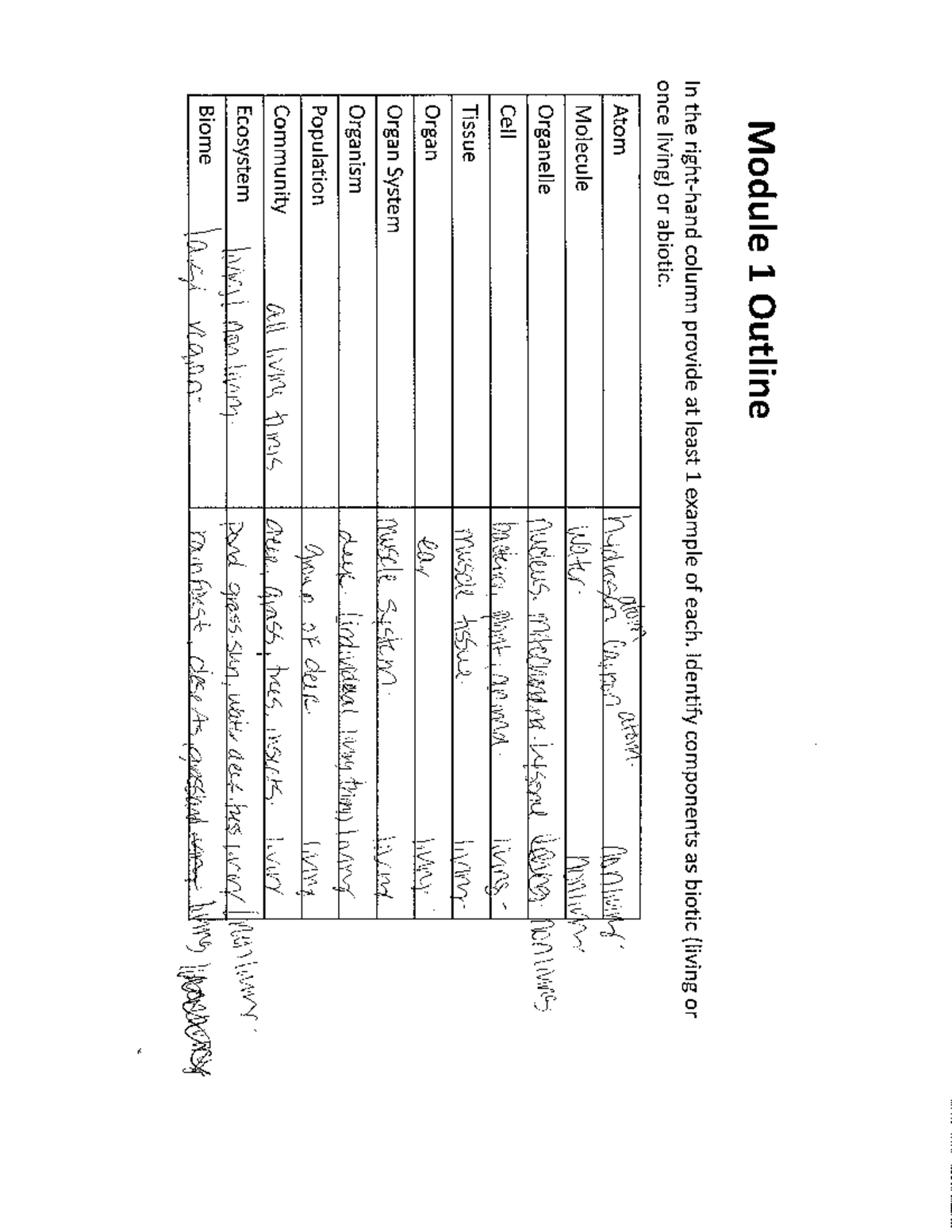 C190 M1 - M1 study guide and note - Module 1 Outline In the column ...