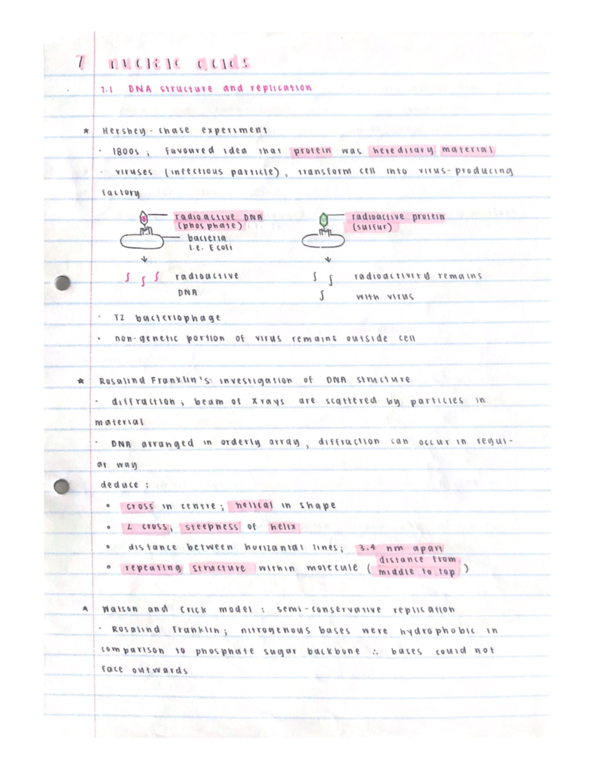 IB Biology HL Topic 7 Nucleic Acids - BIO1000 - Studocu