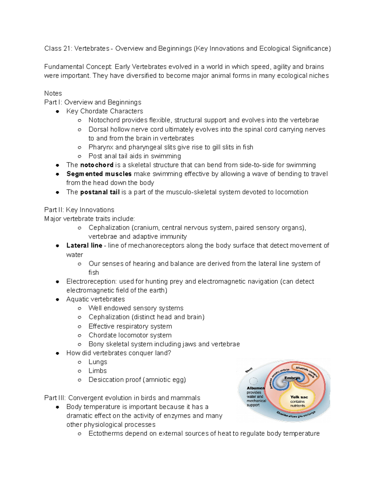 Class 21 Vertebrates - Overview and Beginnings (Key Innovations and ...