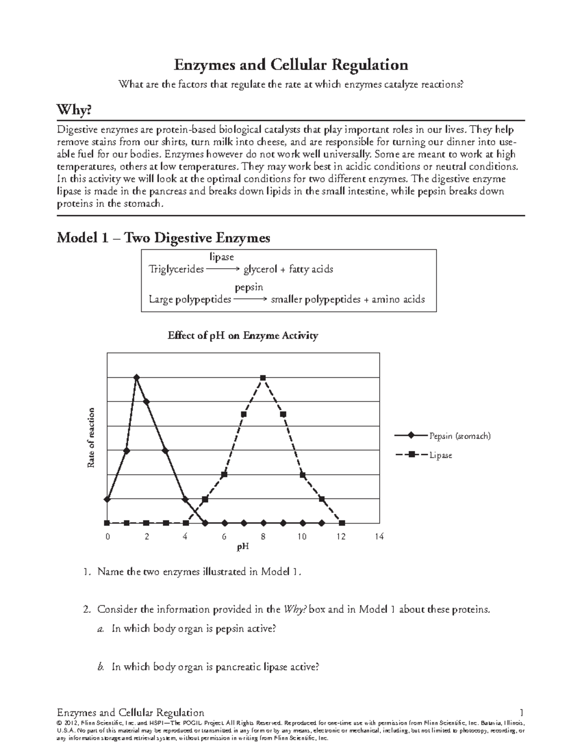 Enzymes pogil - fr tyujolp;kuyjrtge - Enzymes and Cellular Regulation 1 ...