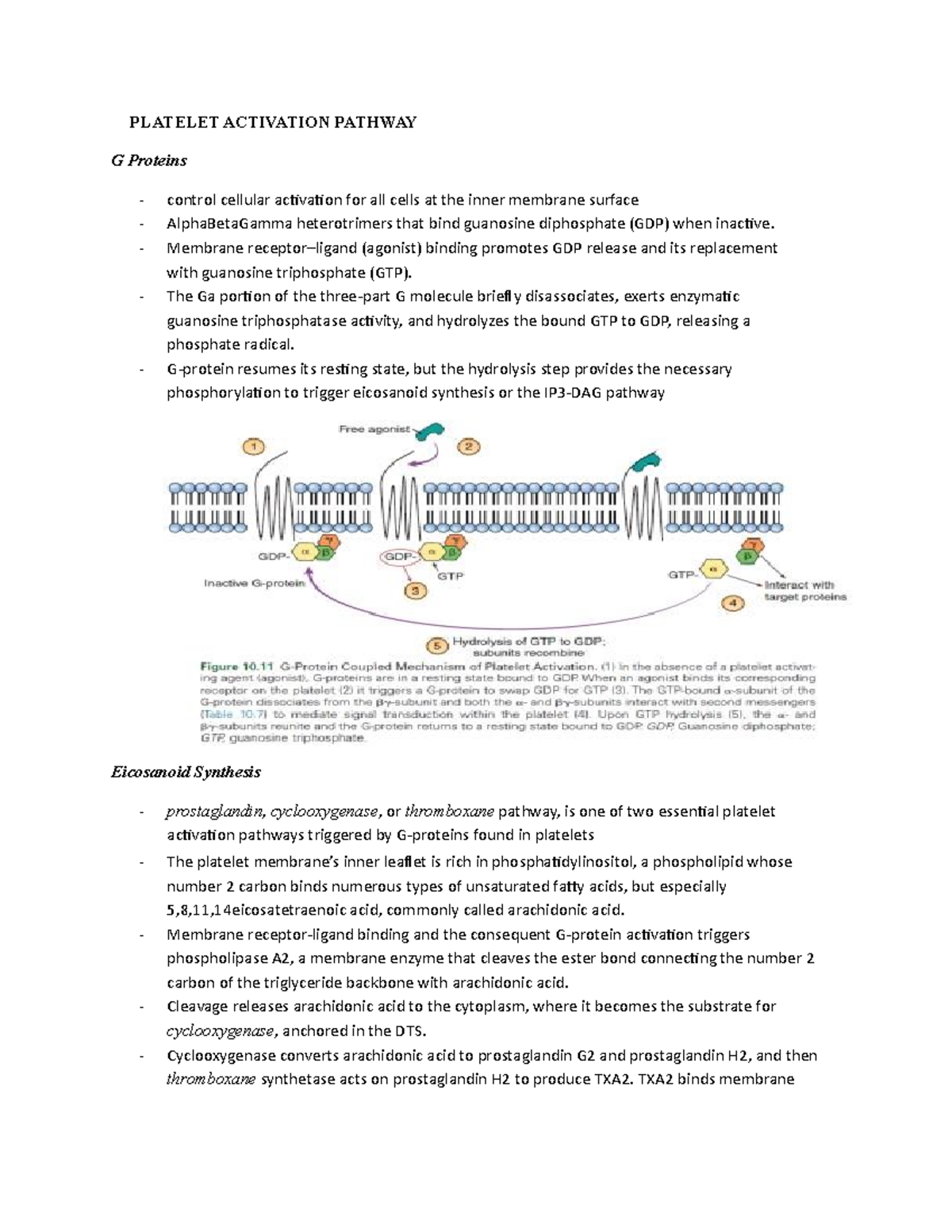 Platelet Activation Pathway - PLATELET ACTIVATION PATHWAY G Proteins ...