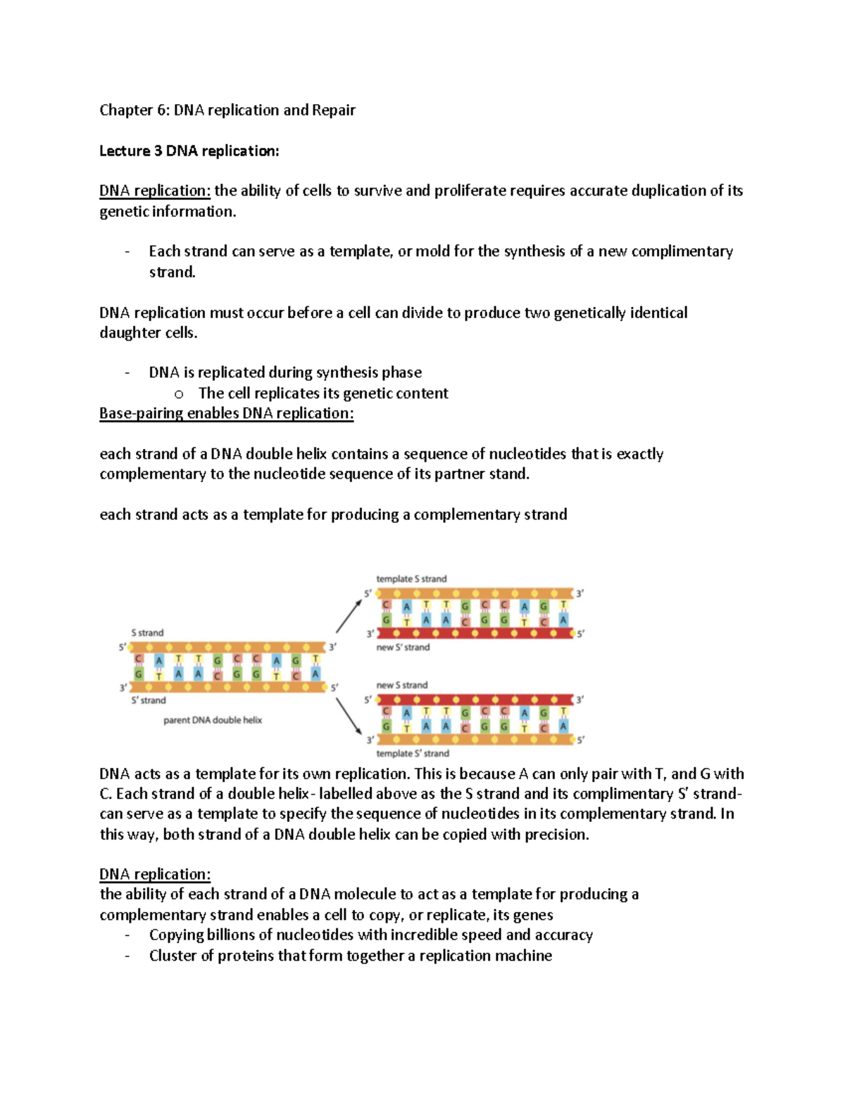 Chapter 6 - microbiology notes - Chapter 6: DNA replication and Repair ...