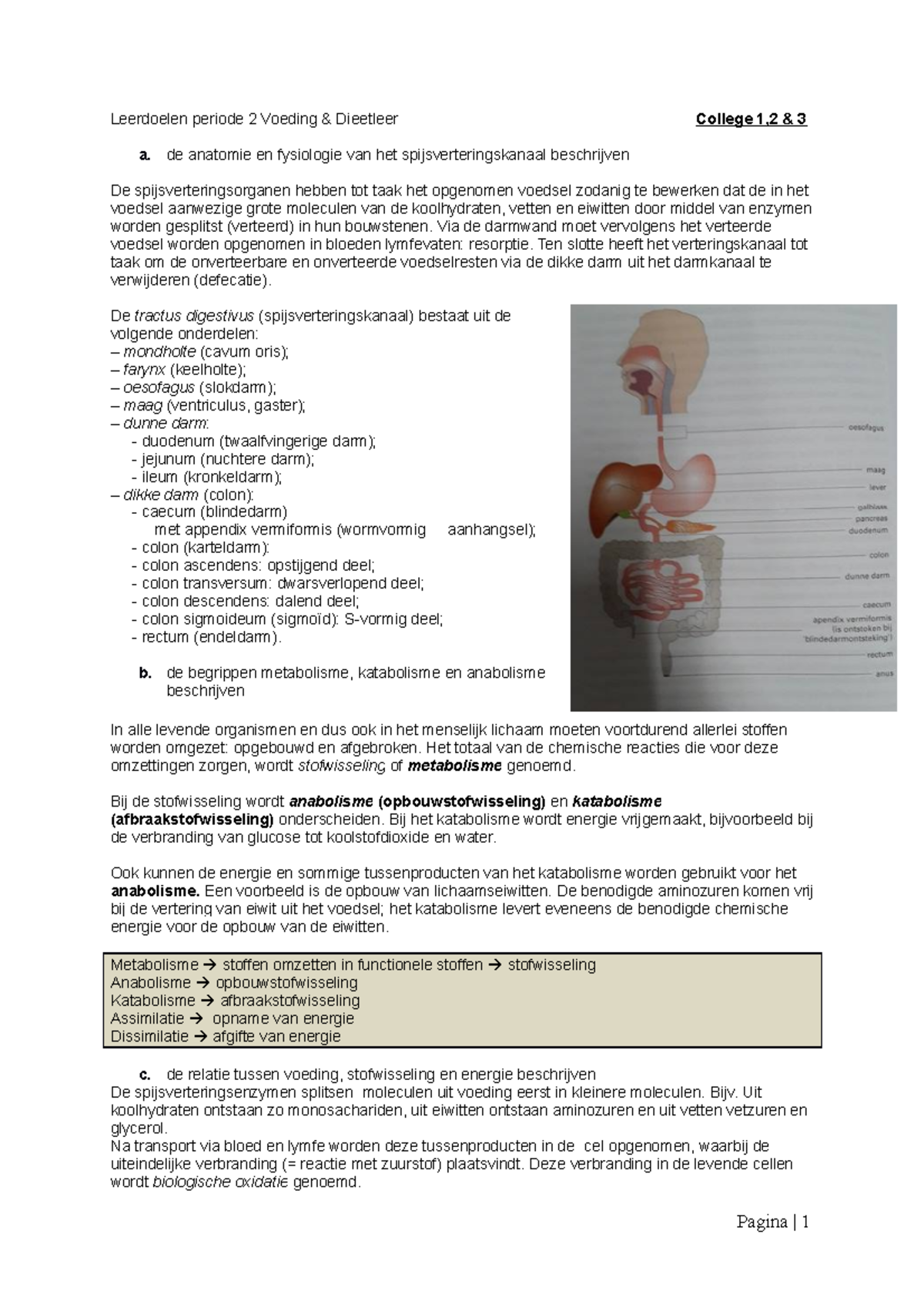 Leerdoelen voedingsleer deel 1 - Leerdoelen periode 2 Voeding Dieetleer ...