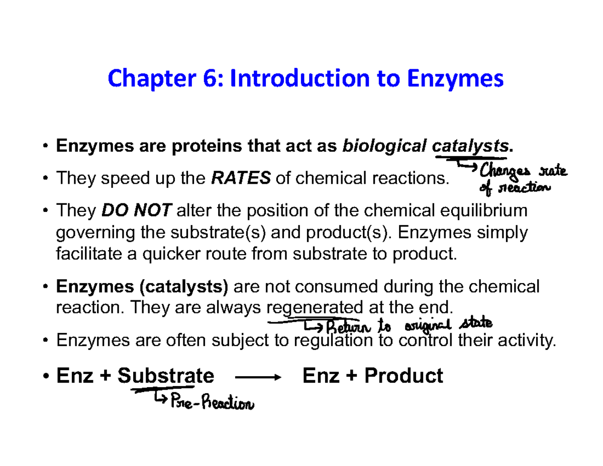 BMSC 200 Fall 2024 Enz Intro - Chapter 6: Introduction to Enzymes ...