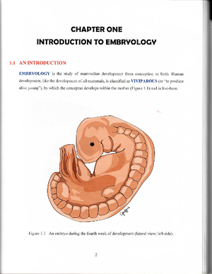 Human Embryology Summary Chart - Week Day Length (mm) # Somites ...