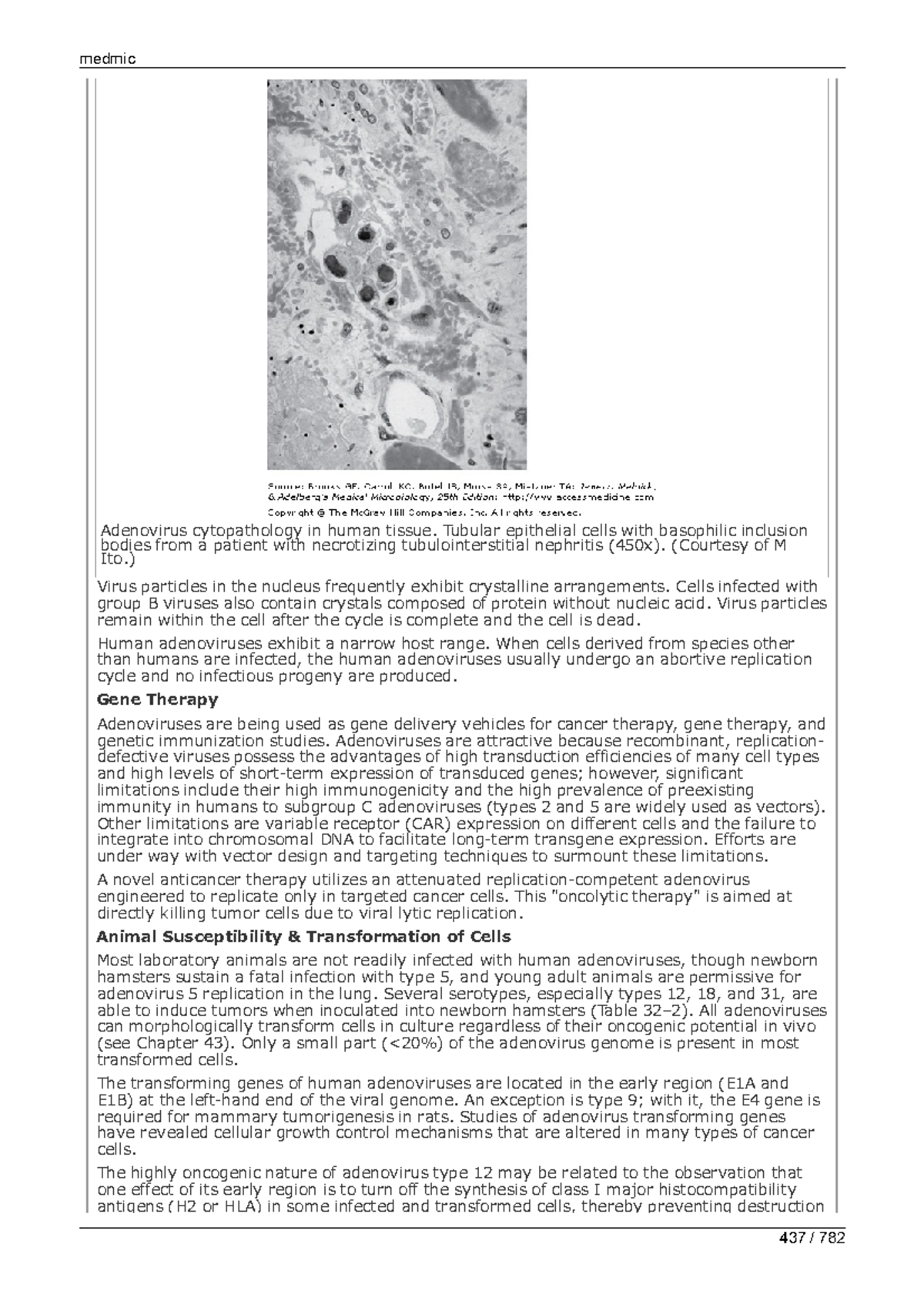 Jawetz s Medical Microbiology Twenty Fifth Edition Lange Basic Science -401-500-39 - Adenovirus ...