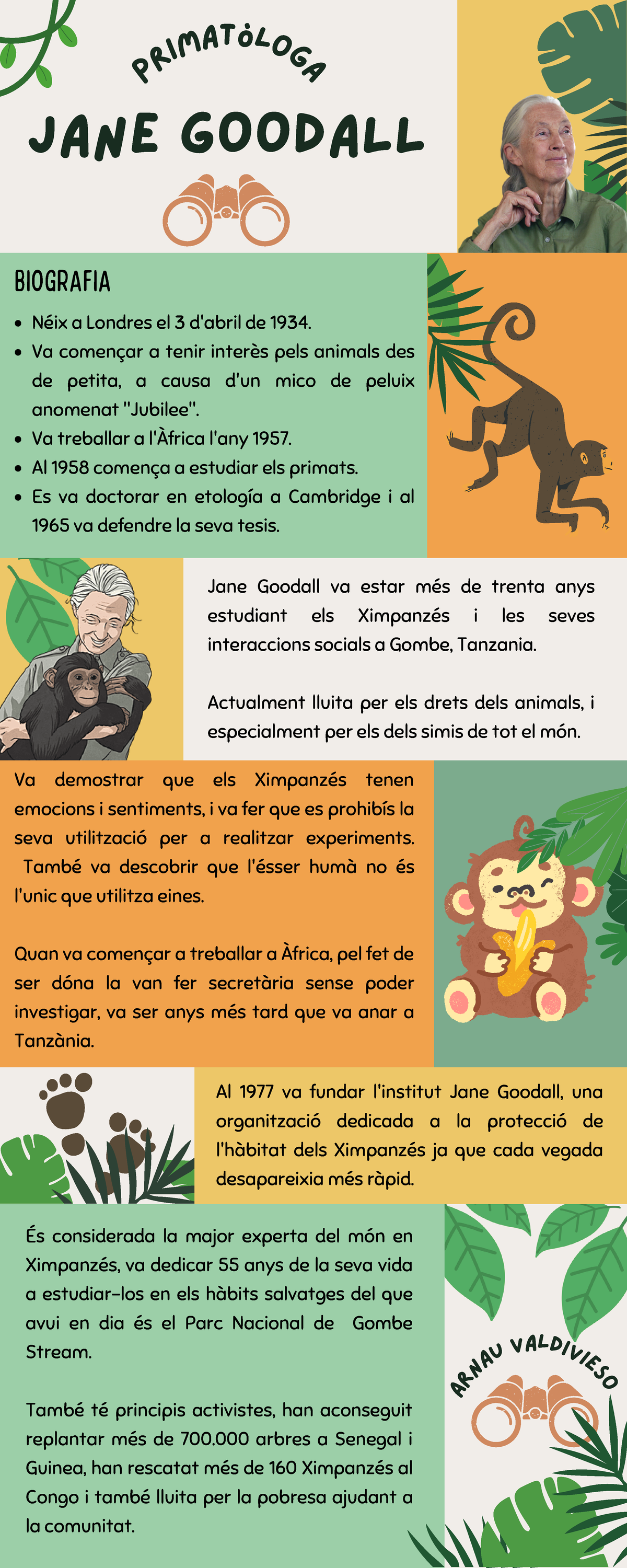 Infografia Jane Goodall - pr ima tòlo ga BIOGRAFIA Néix a Londres el 3 ...