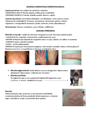 Manual Piel Flores - Dermatología - Studocu