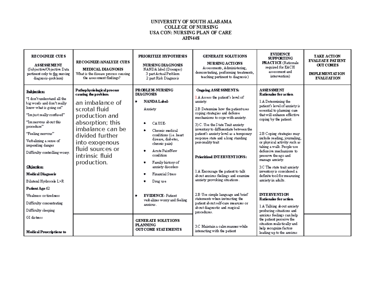 Anxiety Care Plan - care - RECOGNIZE CUES ASSESSEMENT (Subjective ...