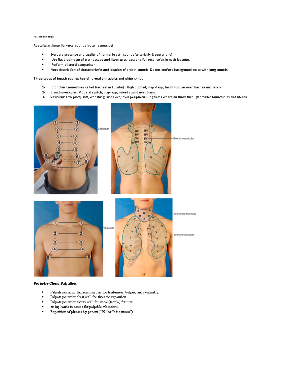 NUR314 guide 2 - Auscultation Steps: Auscultate thorax for vocal sounds ...