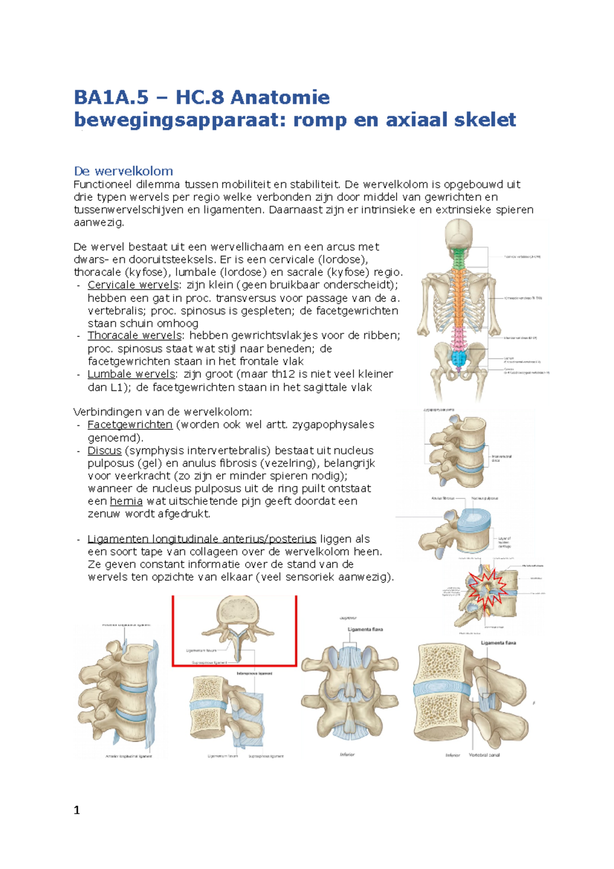 BA1A.5 – HC.8 Anatomie bewegingsapparaat- romp en axiaal skelet - BA1A ...