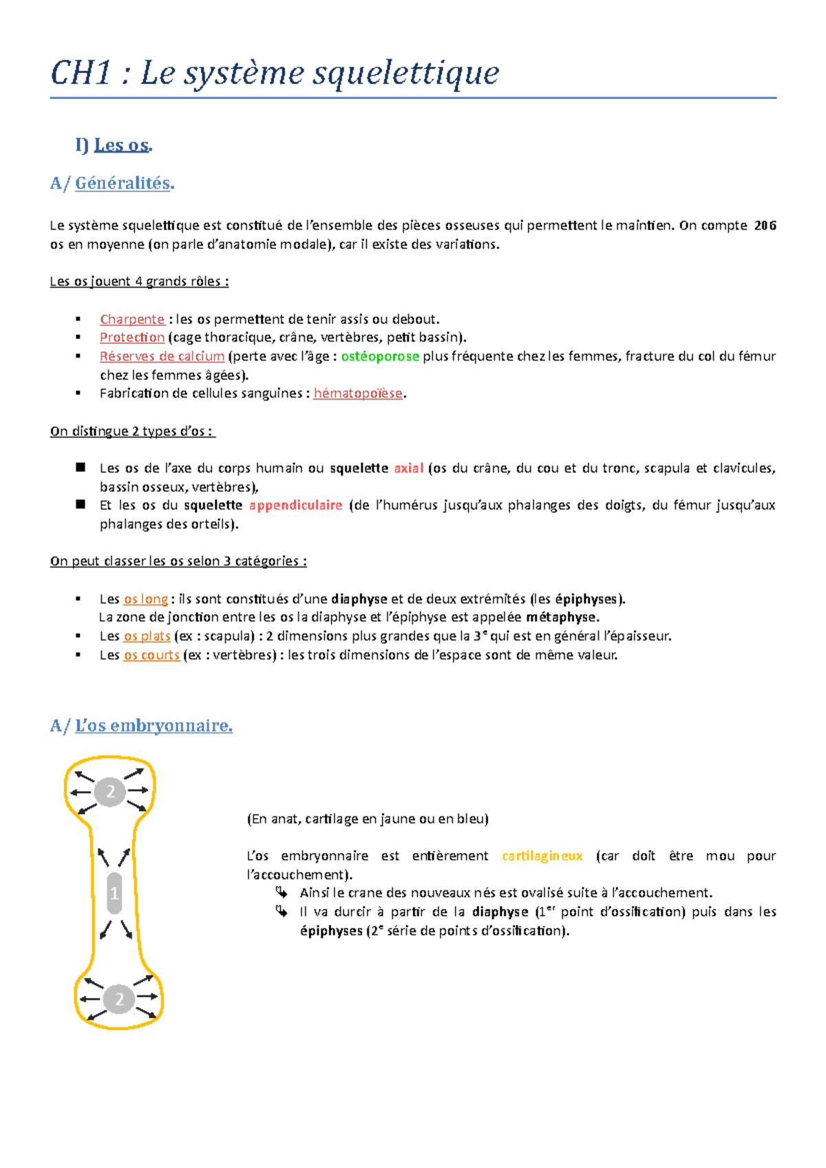 Chap 2 le système squelettique - CH1 : Le système squelettique I) Les ...