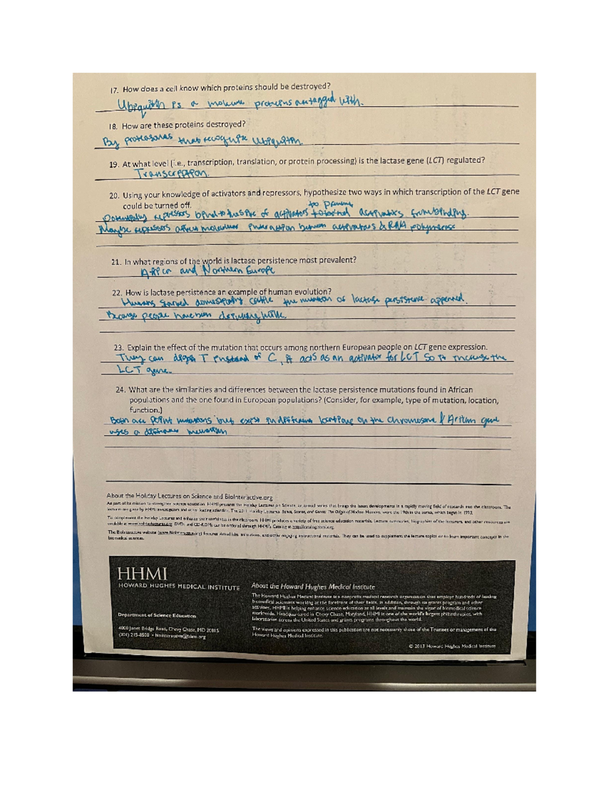Regulation of the Lactase Gene - Studocu