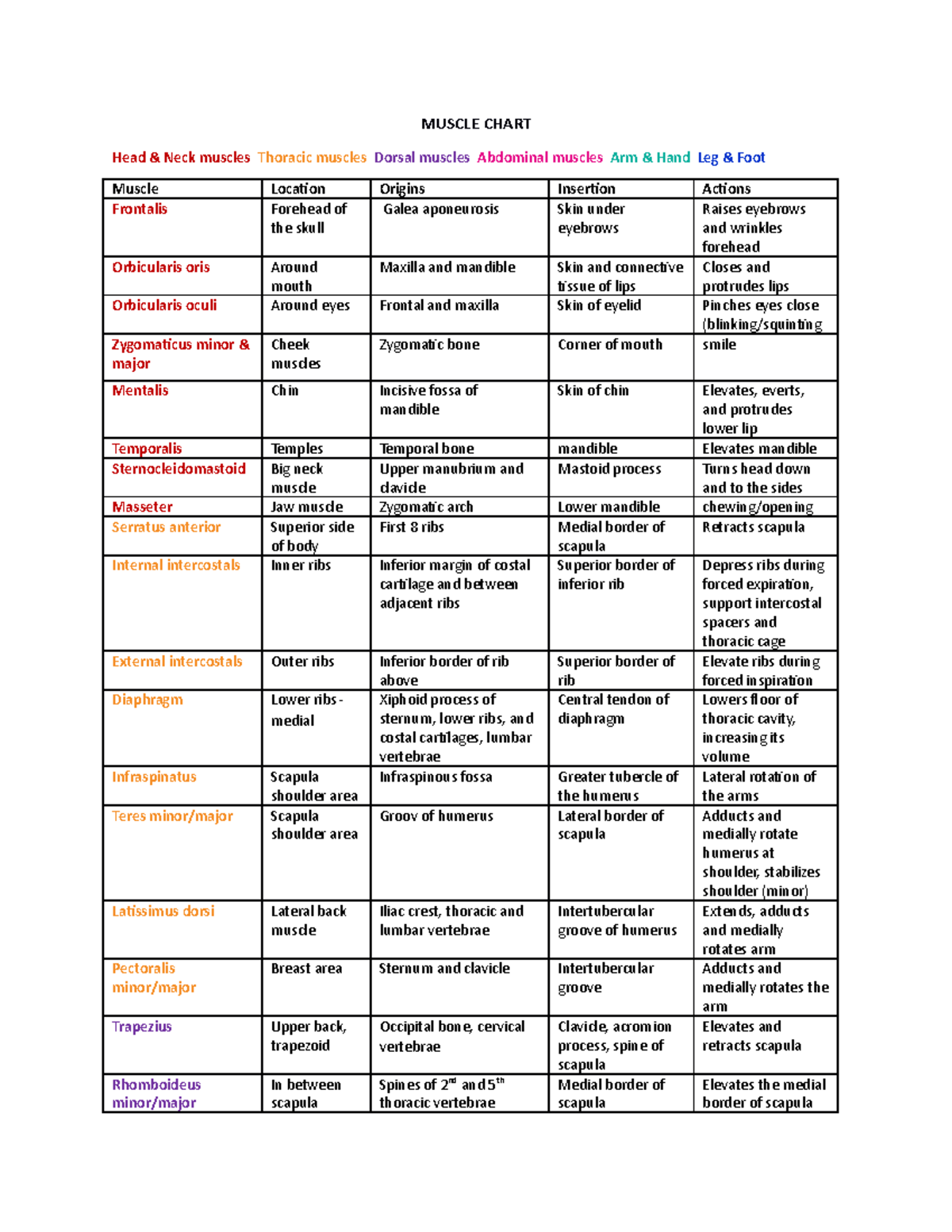 Muscle Chart - MUSCLE CHART Head & Neck muscles Thoracic muscles Dorsal ...
