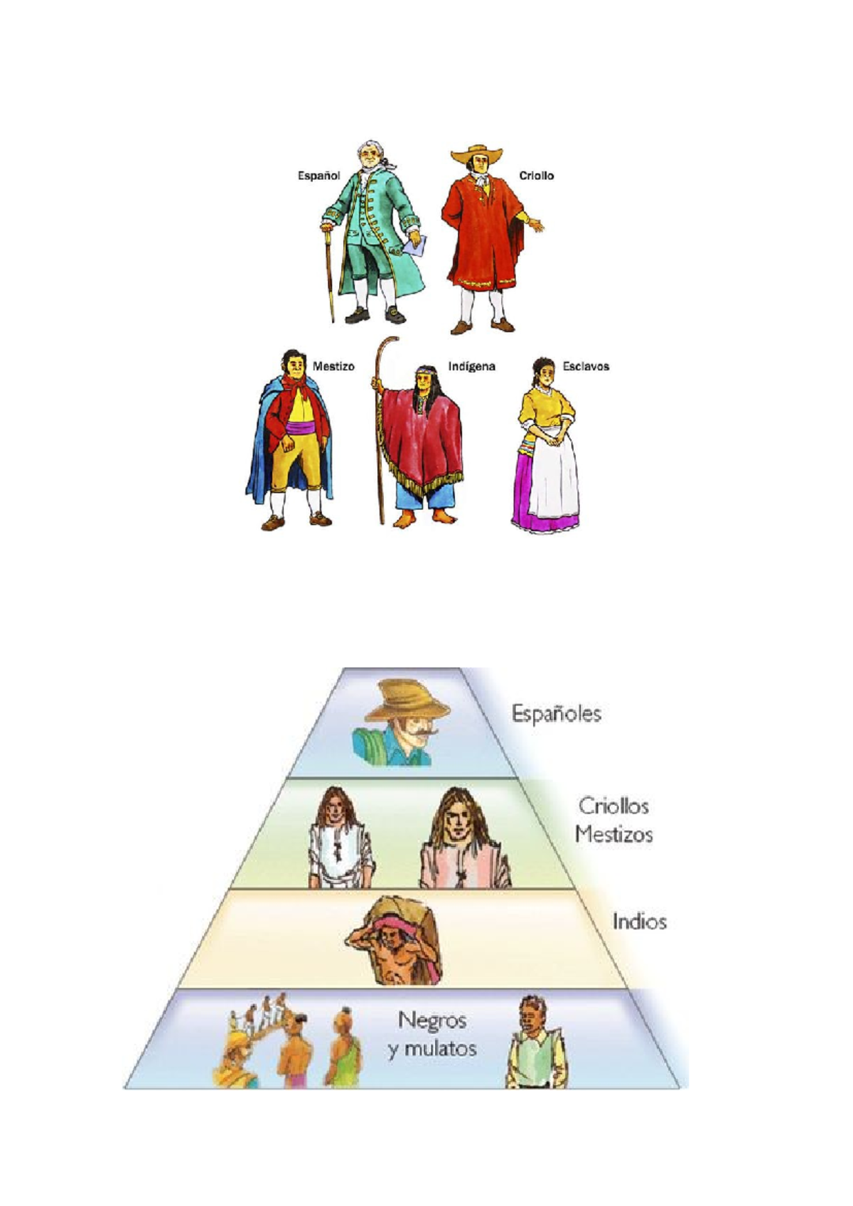 Historia - Histologia - Español Criollo Mestizo Indígena Esclavos ...
