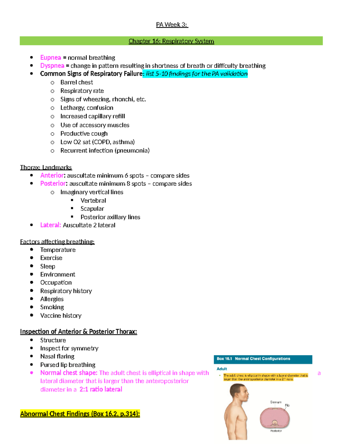 PA Week 3 - PA Week 3: Chapter 16: Respiratory System Eupnea = normal ...