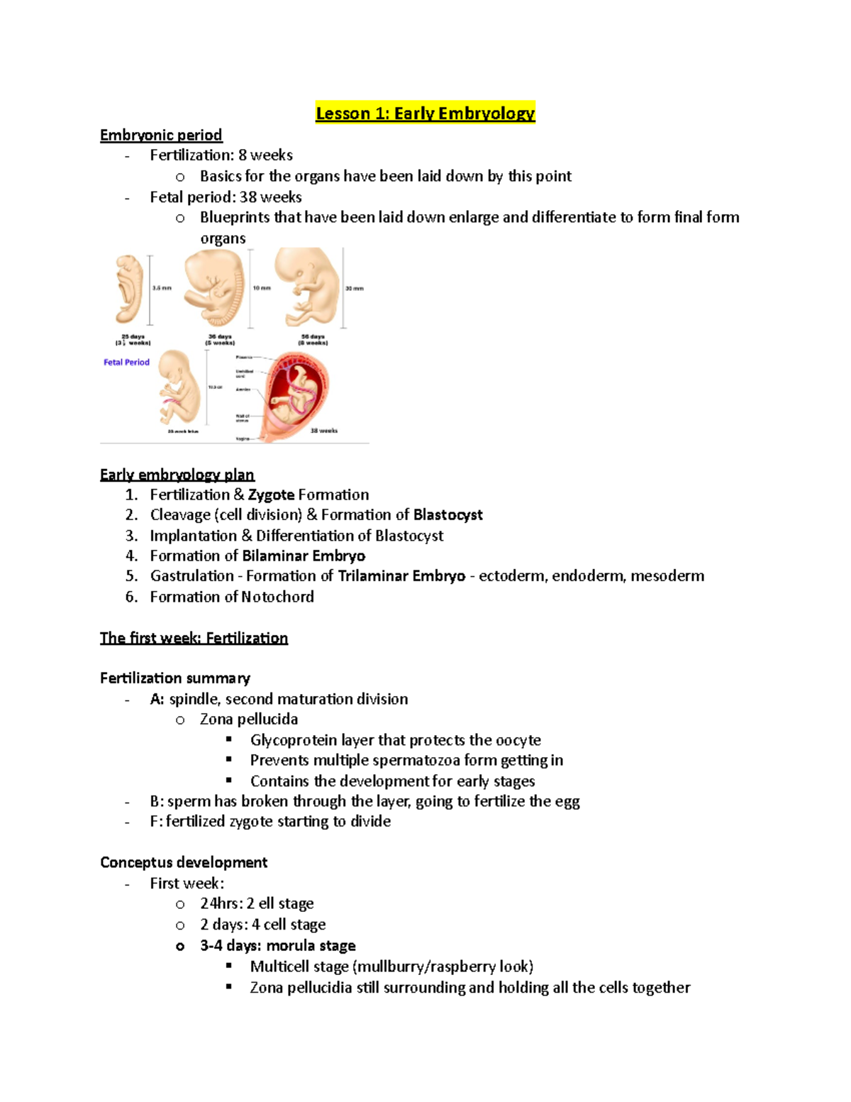 Lesson 1 - lecture info with prof notes - Lesson 1: Early Embryology ...