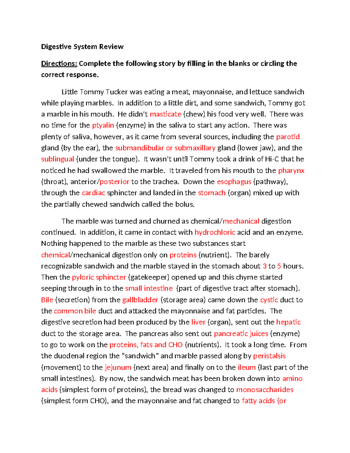 Digestive System Review KEY - Digestive System Review Directions ...