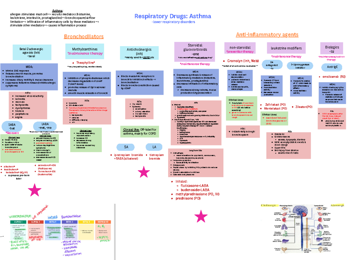 Respiratory Drug Chart - BBW: anaphylaxis afterAEs: the 1st dose ...