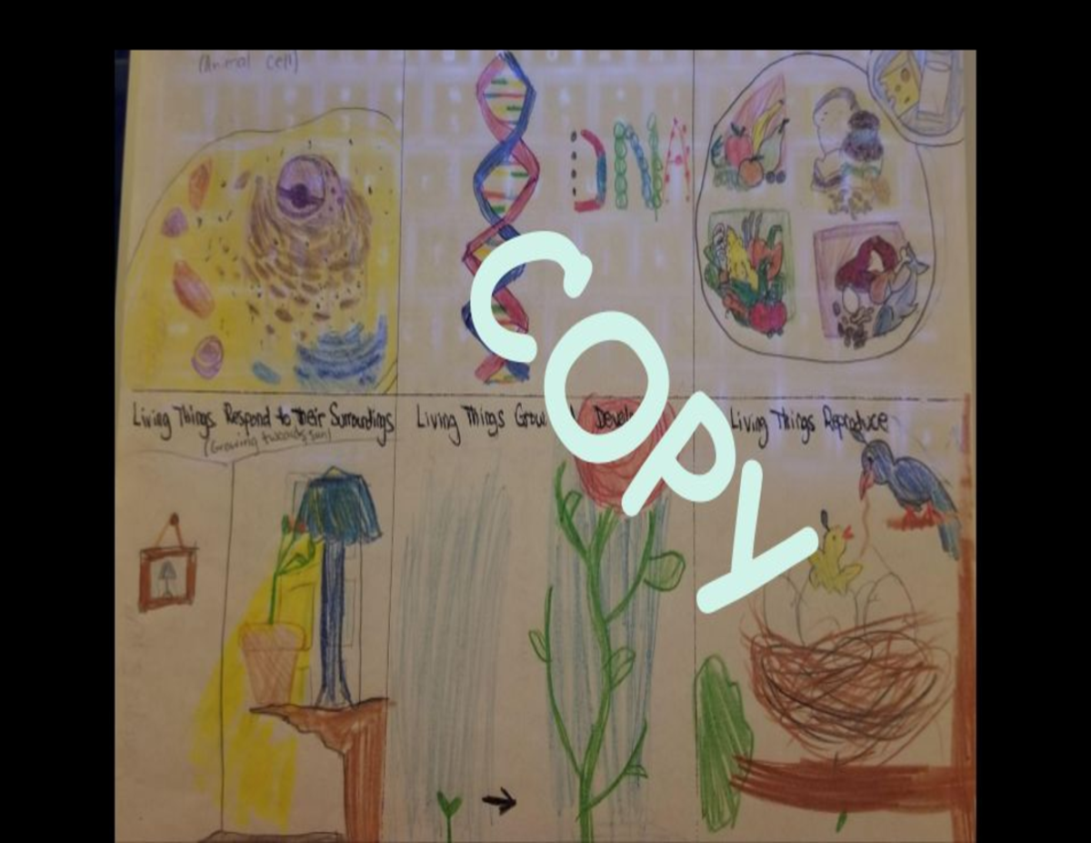 Copy of Digital Characteristics of living things - Studocu