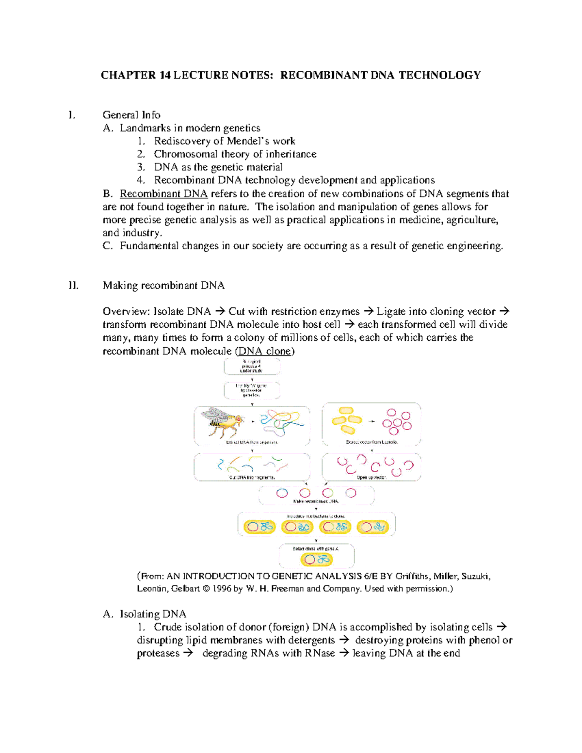 Chapter 14 All About Recombinant Dna Technology Chapter 14 Lecture Notes Recombinant Dna