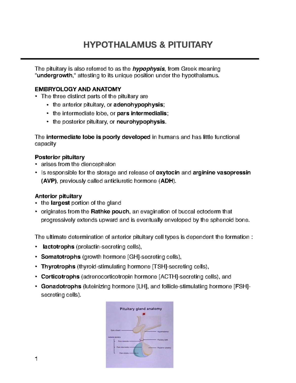 Note-Taking - CC notes - HYPOTHALAMUS & PITUITARY The pituitary is also ...