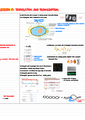 ENG 114 Lesson 24 - Introduction to Bioimaging - LESSON 24 ...