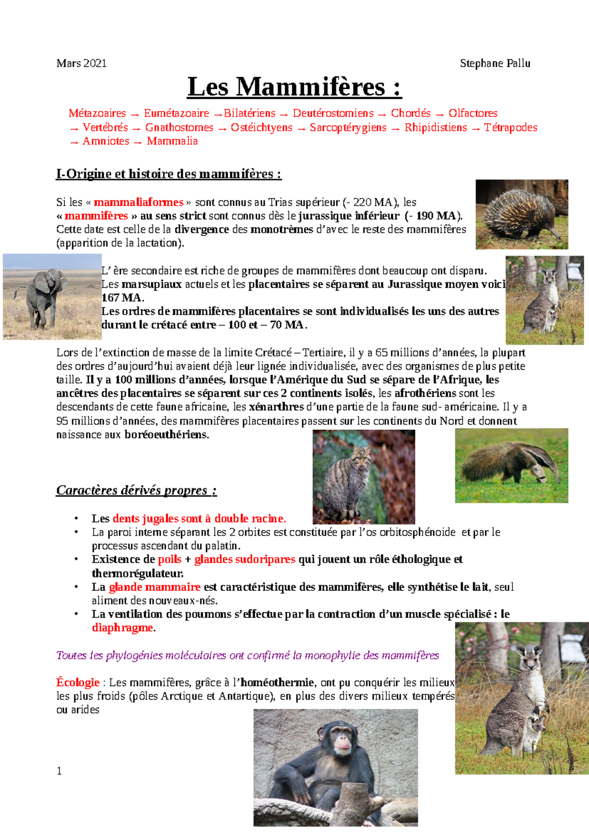 Les mammifères diversité animal - Mars 2021 Stephane Pallu Les ...