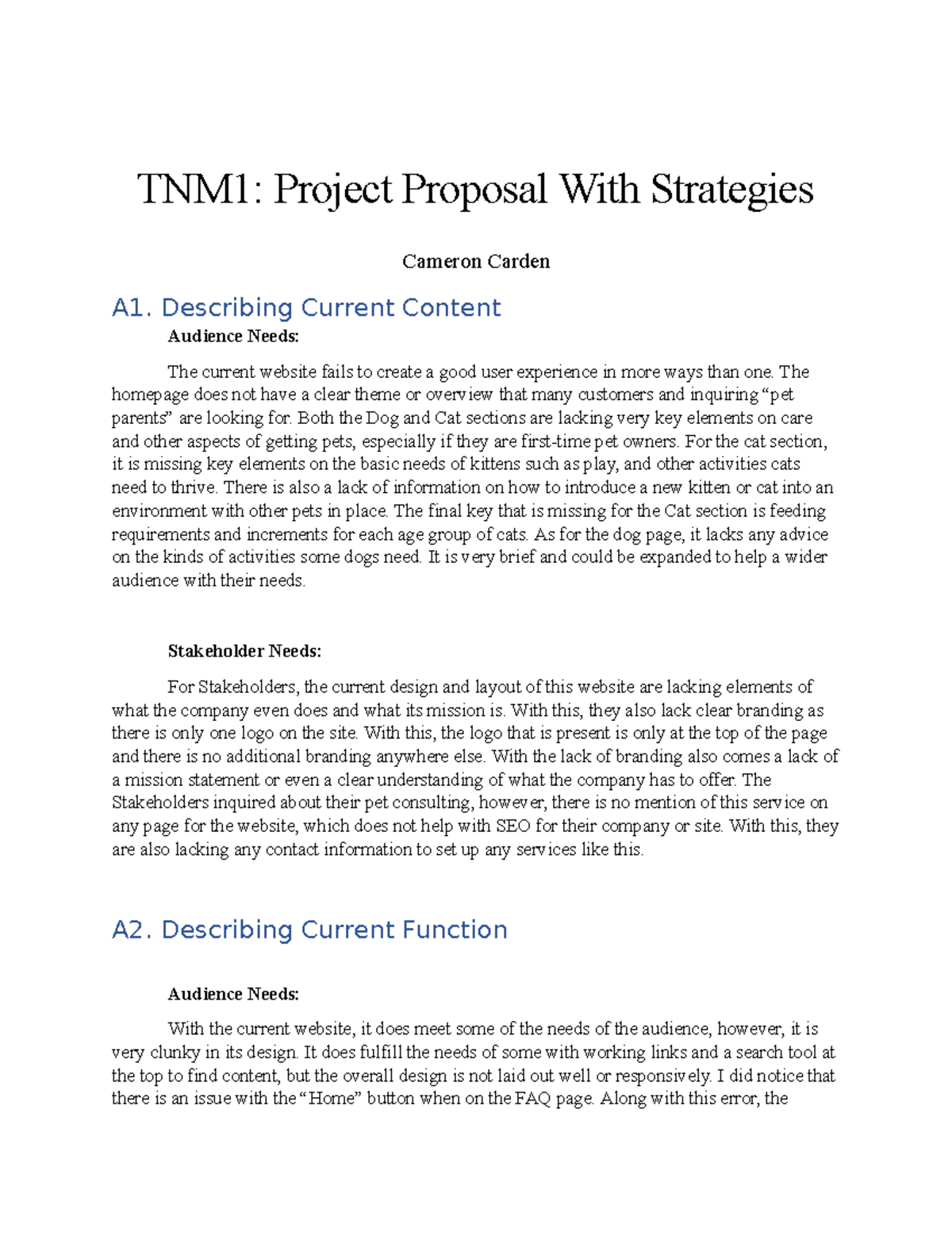 TNM1 Project Proposal WITH Strategies - TNM1: Project Proposal With ...