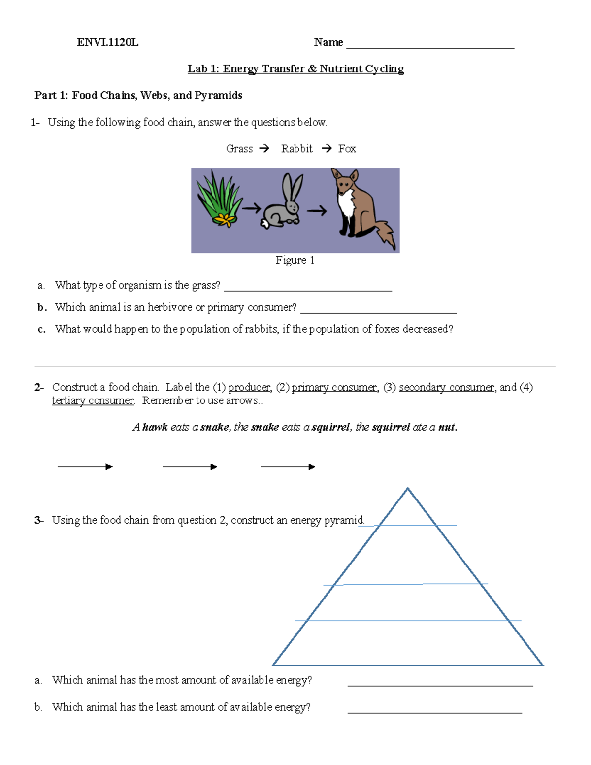 Lab 1- Energy Transfer - lab - ENVI Name ...