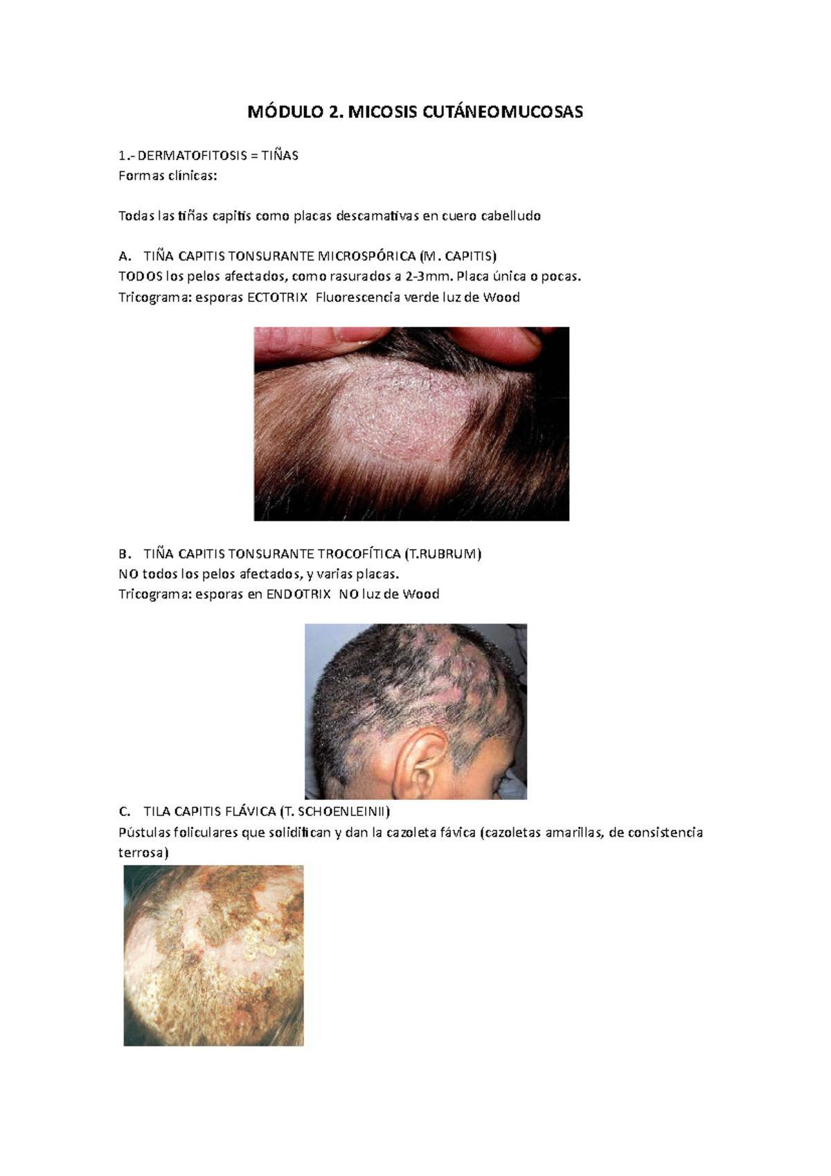 Módulo 2. Micosis Cutáneomucosas - MÓDULO 2. MICOSIS CUTÁNEOMUCOSAS 1 ...