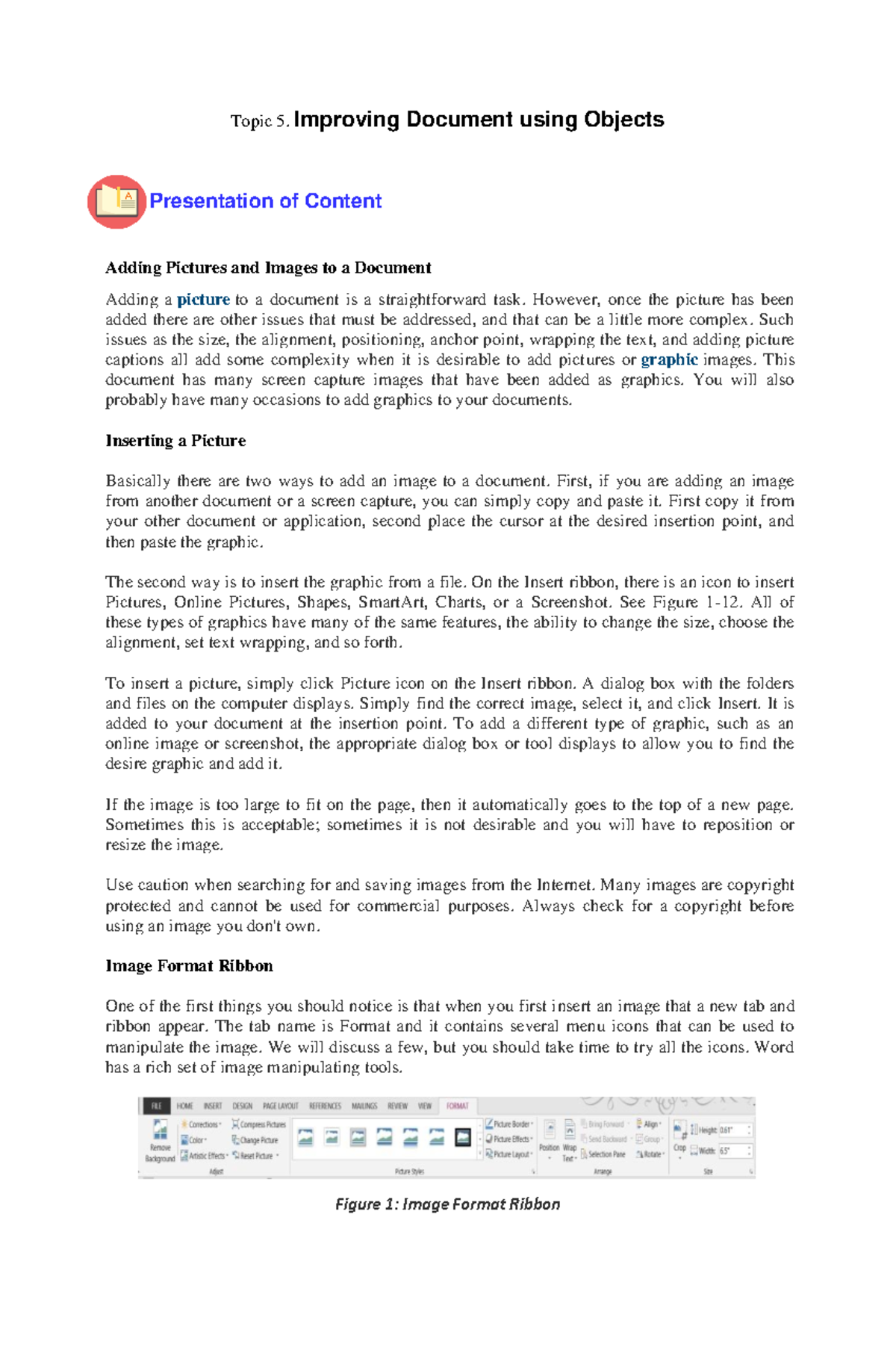 Topic 5 Improving Documents Using Objects Topic 5 Improving Document Using Objects Adding