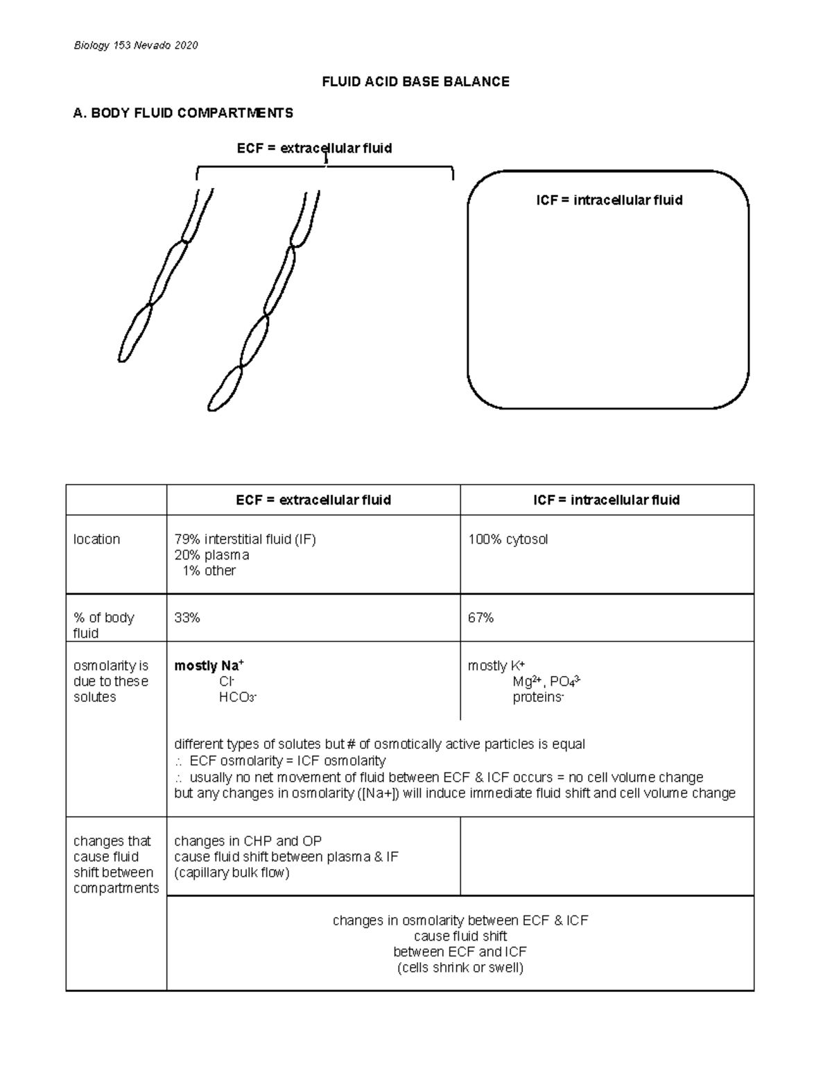 153 10 Fluid ACID BASE Balance student - FLUID ACID BASE BALANCE A ...