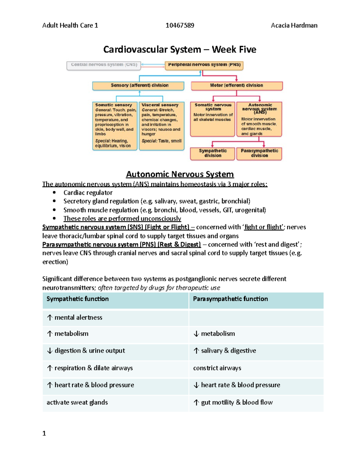 Cardiovascular System ADULT HEATH CARE 1 - Cardiovascular System – Week ...