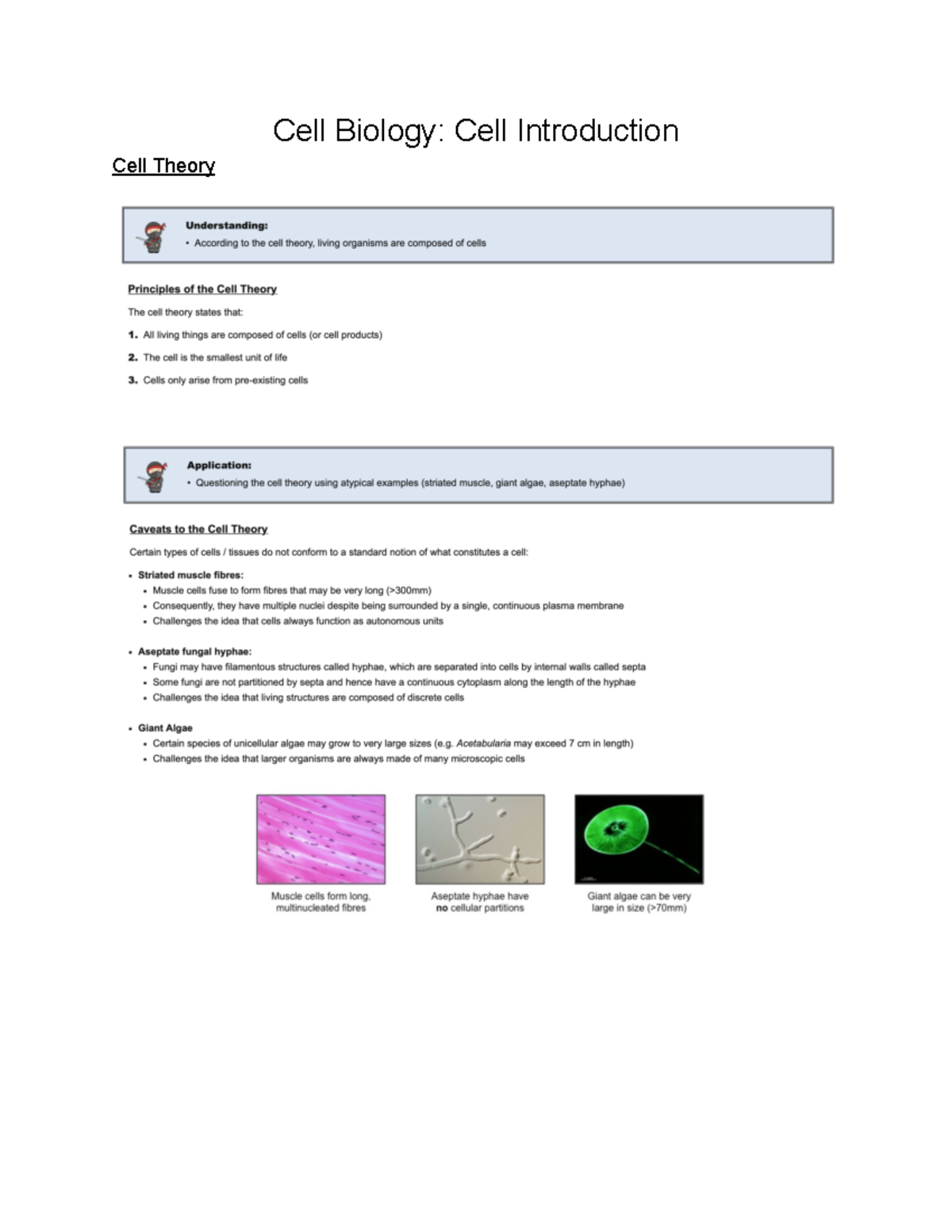 Cell Biology: Cell Introduction - Cell Theory - BIS 2A - Studocu