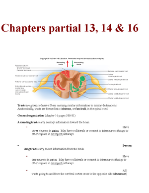 Lab manual cranial nerves atlas part 1 - This lab activity is aligned ...