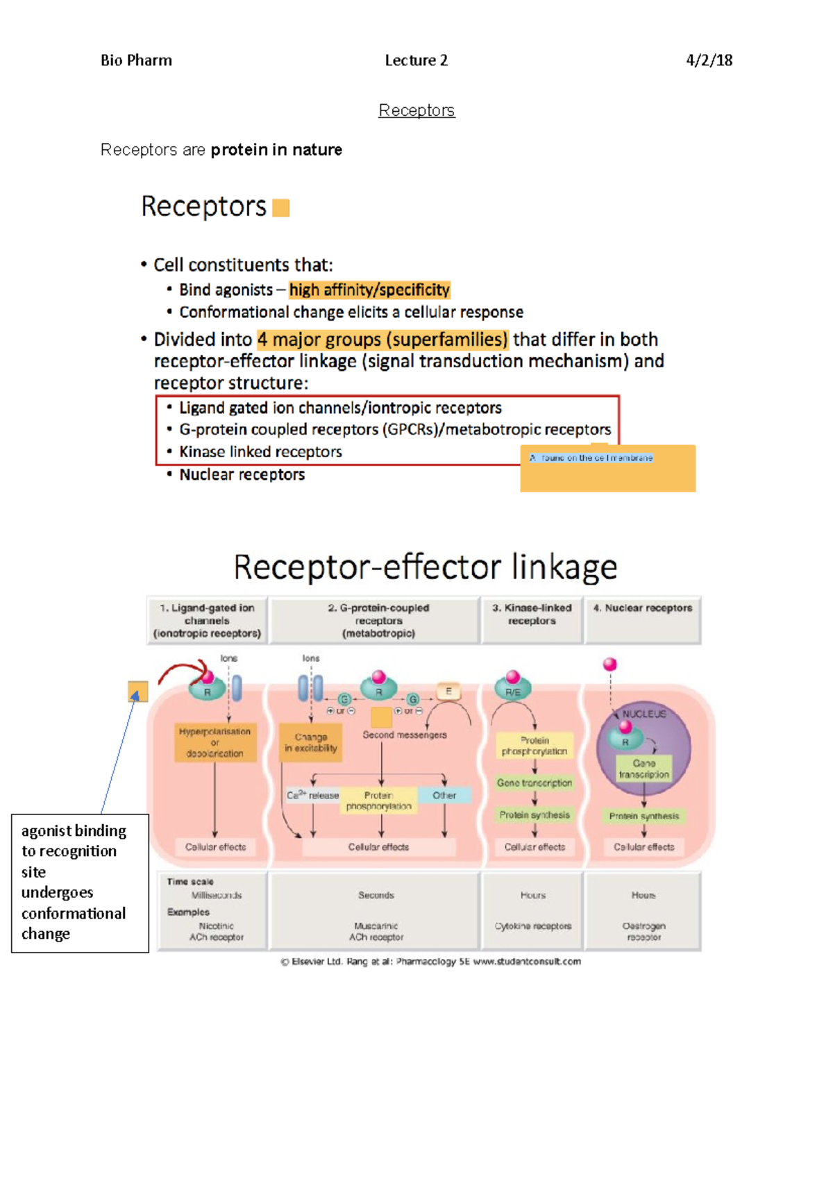 Receptors - Lecture notes 2 - Bio Pharm Lecture 2 Receptors Receptors ...