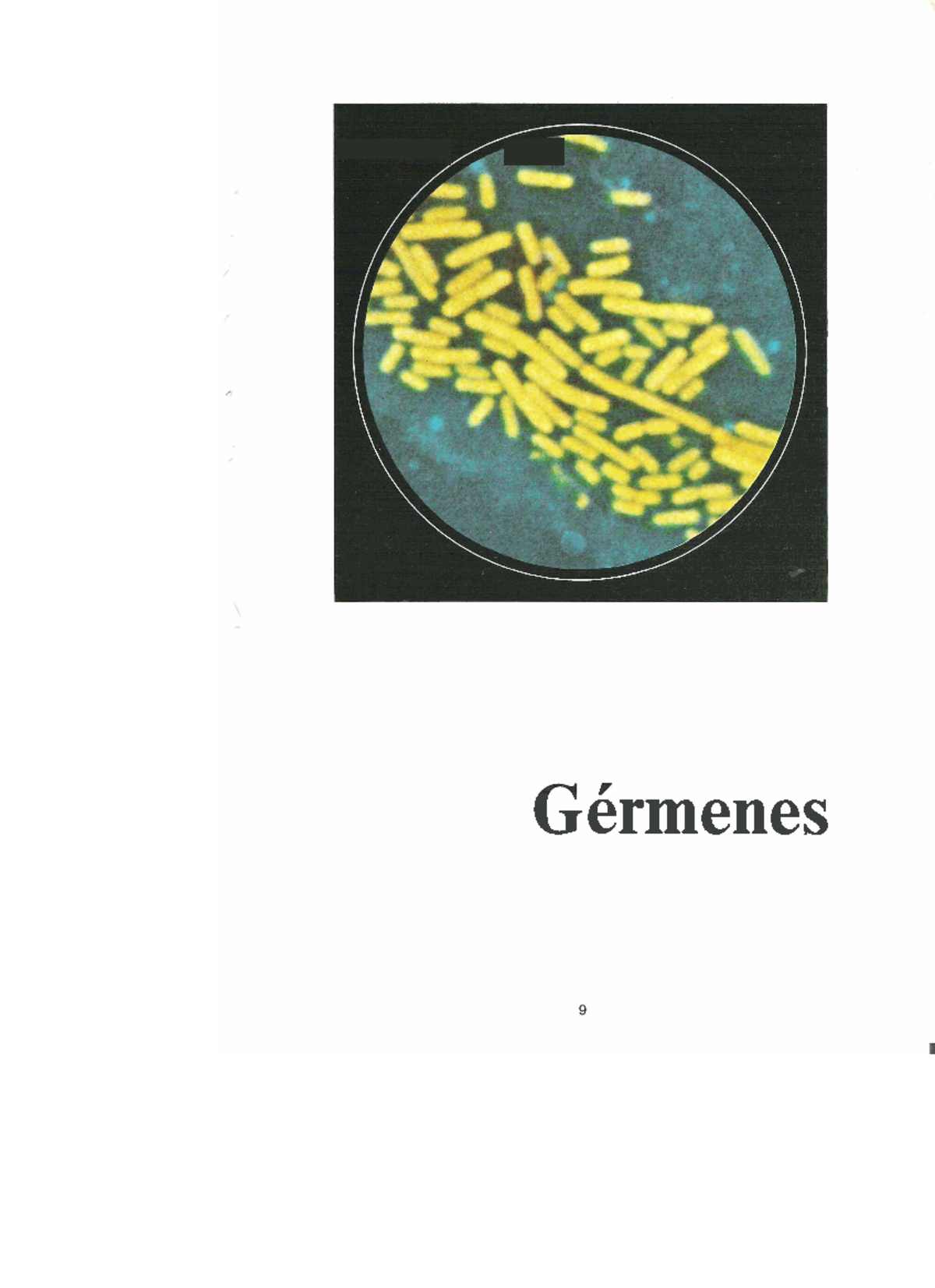 Germenes - berrnenes ####### Fig. 1. Escherichia coli con tinci6n de ...