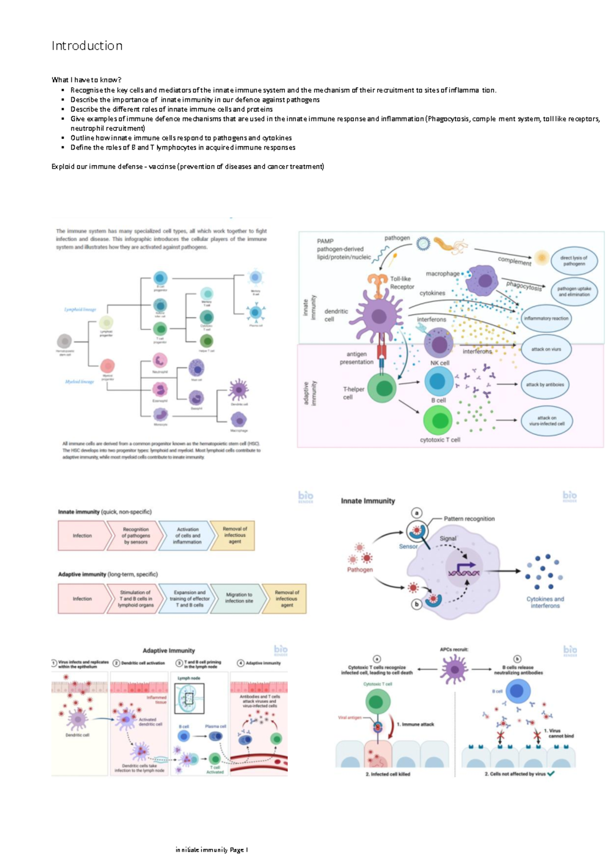 Initiate immunity - introduction - What I have to know? - Recognise the ...