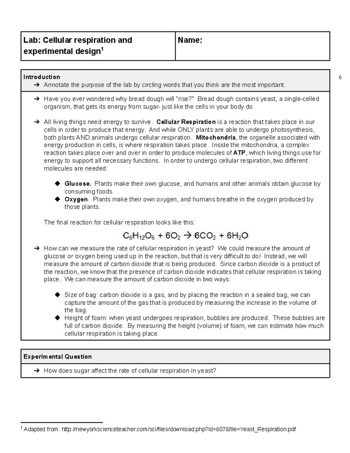 Cellular Respiration Lab - Lab: Cellular respiration and experimental ...