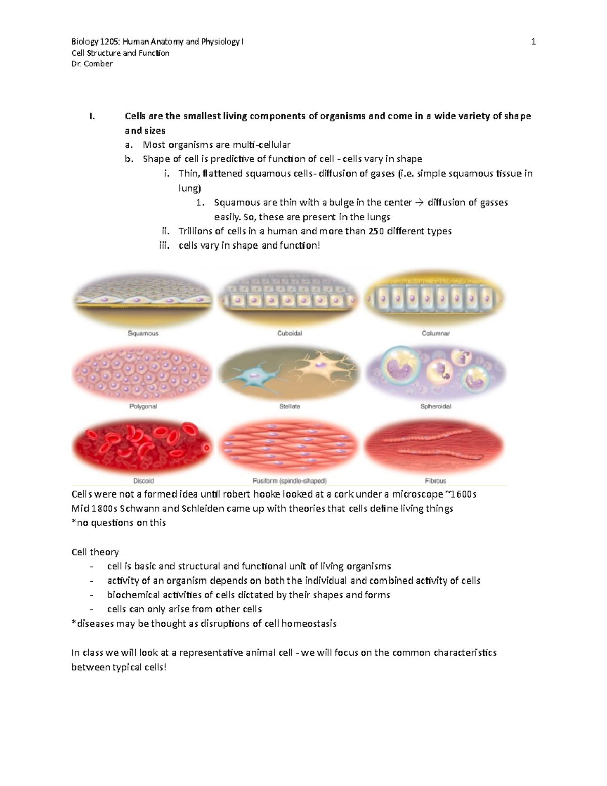 Unit 3 Cell Structure - A&P 1 - Cell Structure and Function Dr. Comber ...