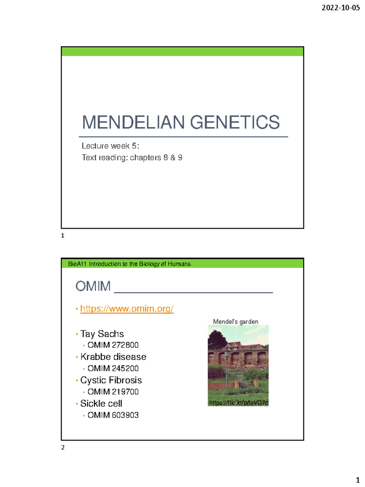 Lect 5 notes Mendelian Genetics - MENDELIAN GENETICS Lecture week 5 ...