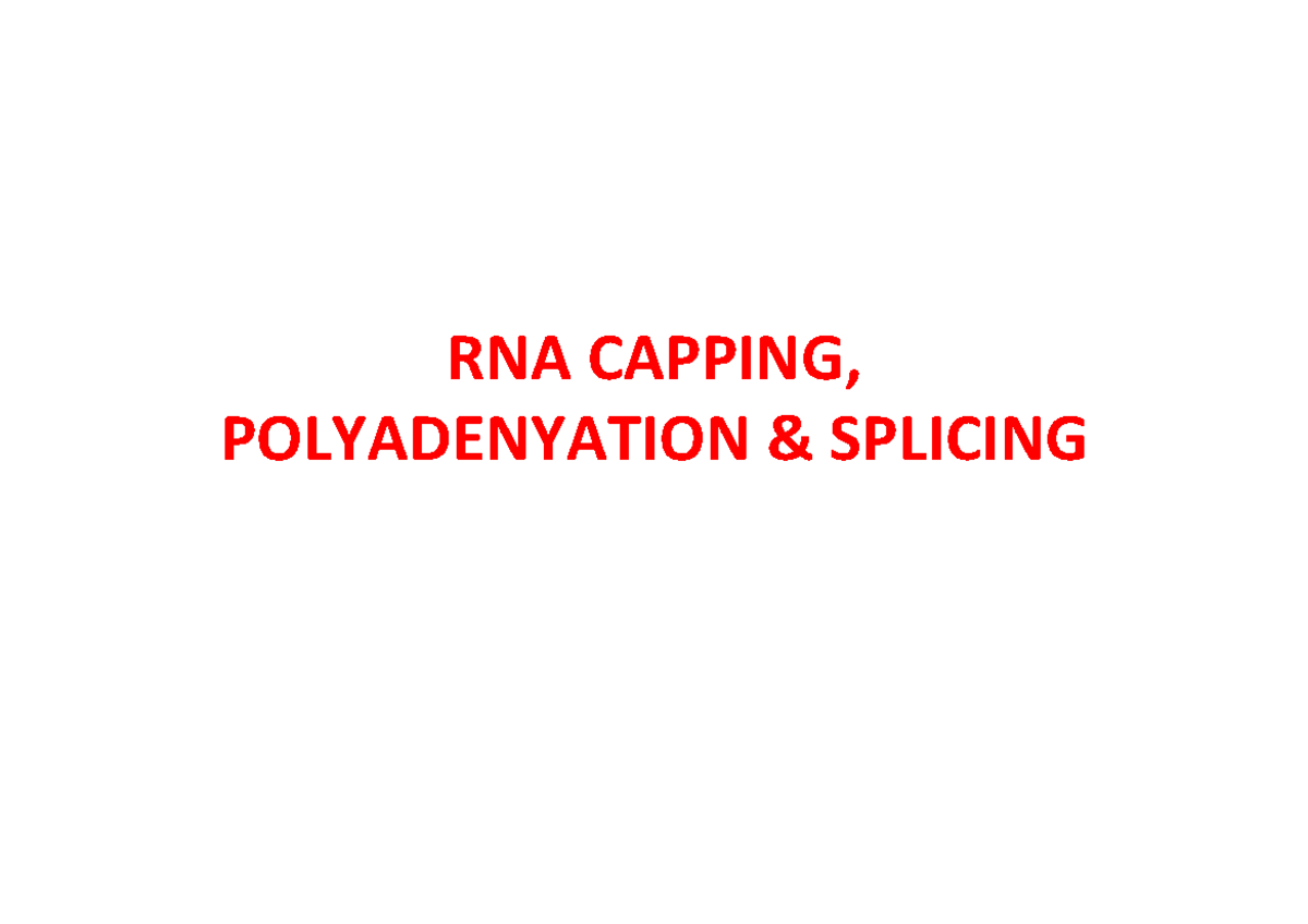 04 RNA capping splicing - RNA鈀 CAPPING,鈀 POLYADENYATION鈀 &鈀 SPLICING鈀 ...