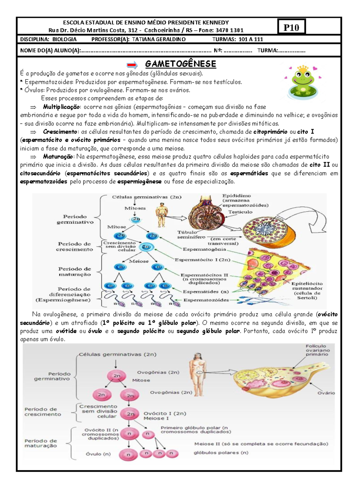 P10 - GametogêNESE - Vbbbb - ESCOLA ESTADUAL DE ENSINO MÉDIO PRESIDENTE ...