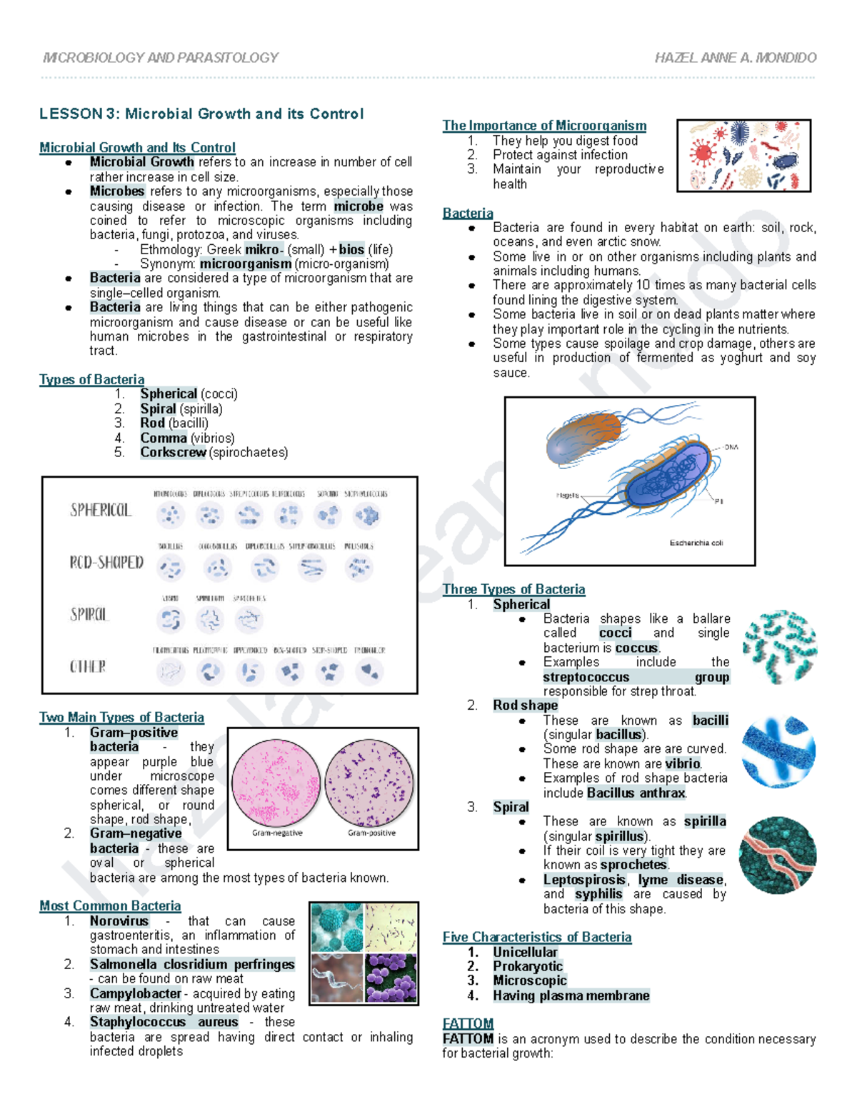 Micropara notes - Google Docs - hazelanneamondido - Studocu
