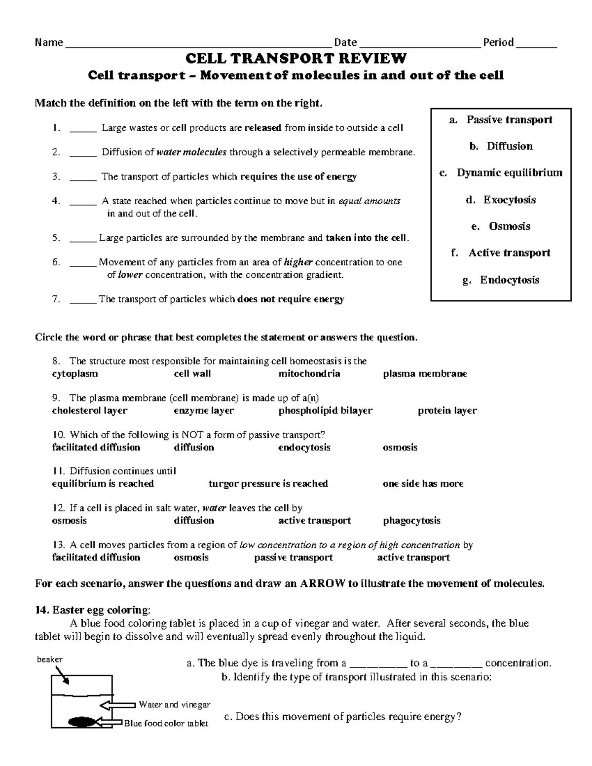 Cell transport review 2 - Name ...