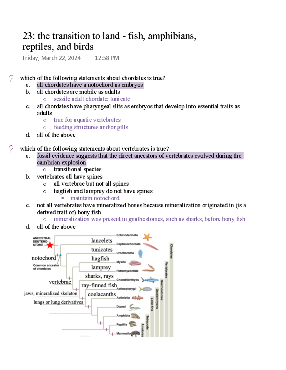 UVA BIOL 2200 Lesson 23 - The Transition to Land - Fish, Amphibians ...