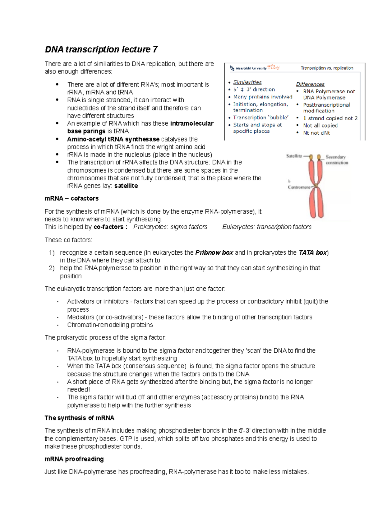 DNA transcription summary lecture - DNA transcription lecture 7 There are a lot of similarities ...